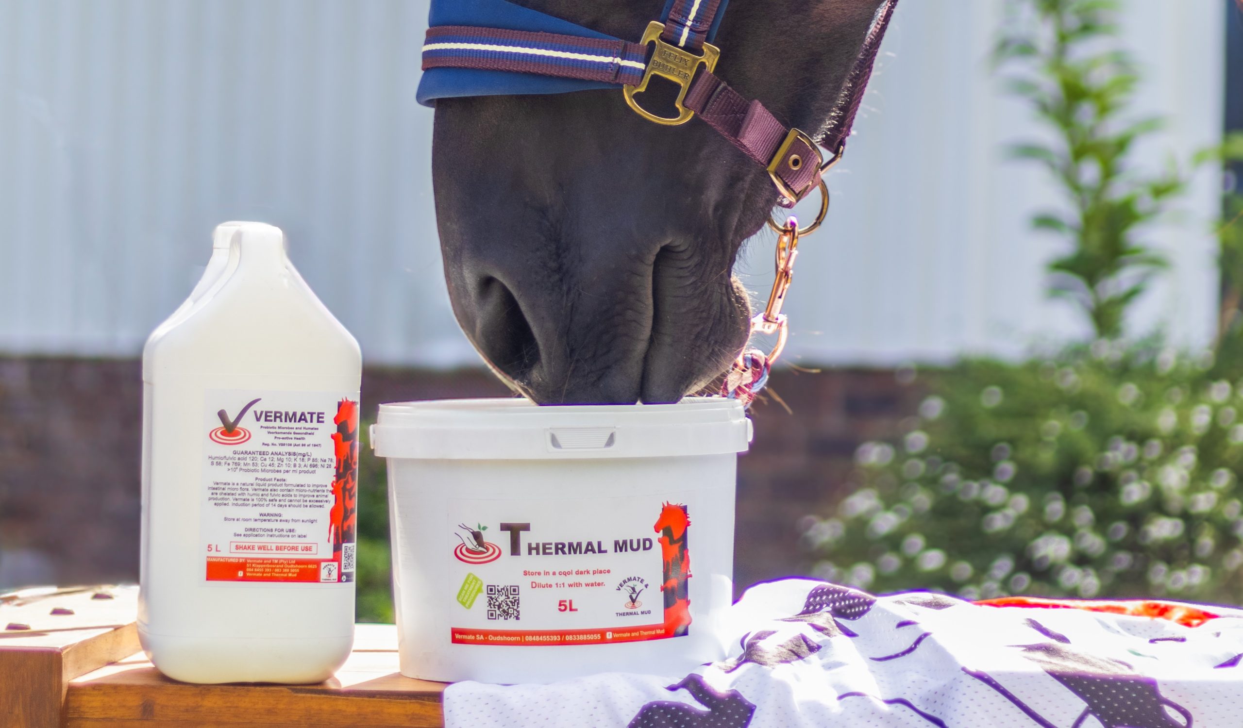 The Sarcoid Solution - Vermate and Thermal Mud
